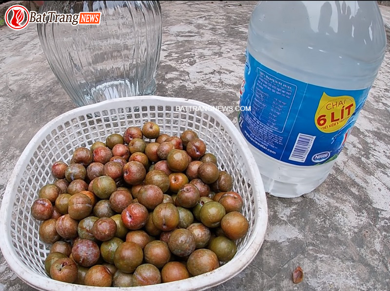 Cách ngâm rượu mận ngon đơn giản ngay tại nhà